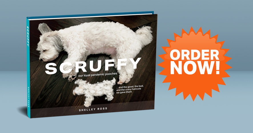 Order Scruffy by Shelley Ross today!